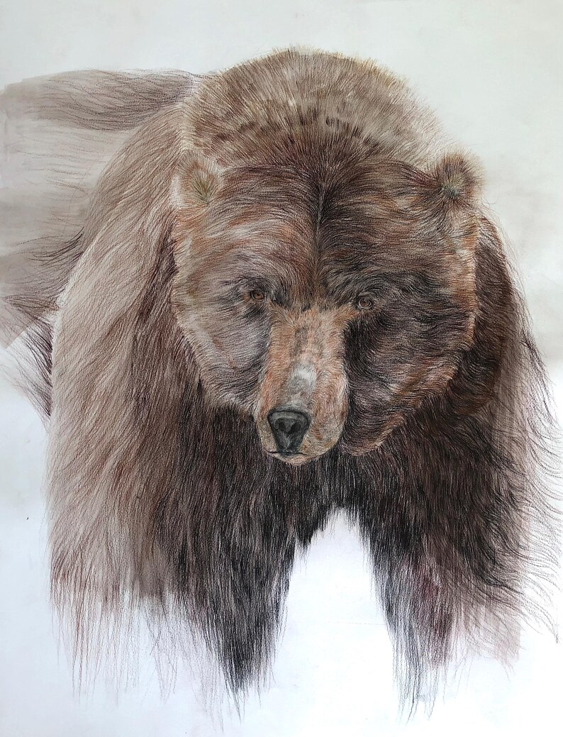 Original Artwork Bear, 50 X 70 Cm, Power Animals, Illustration, Totems ...