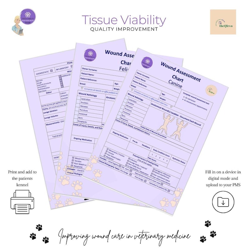 Veterinary Wound Assessment Chart - Etsy