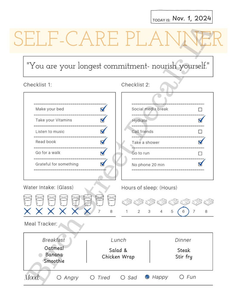 Daily Self-care Checklist Sheet, Wellness & Organization Planner, Water ...