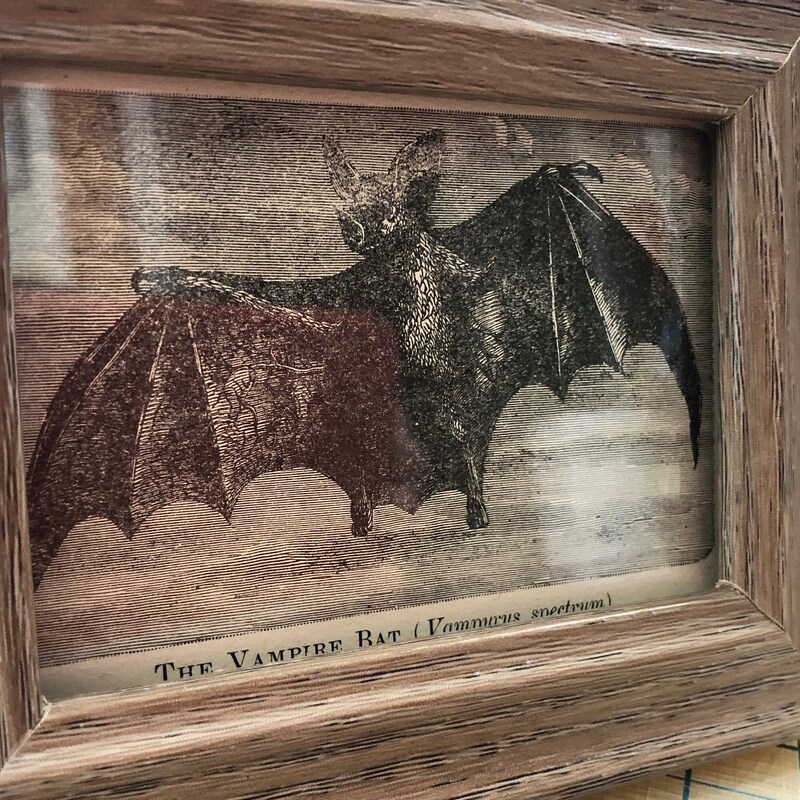 Vampire Bat - Etsy