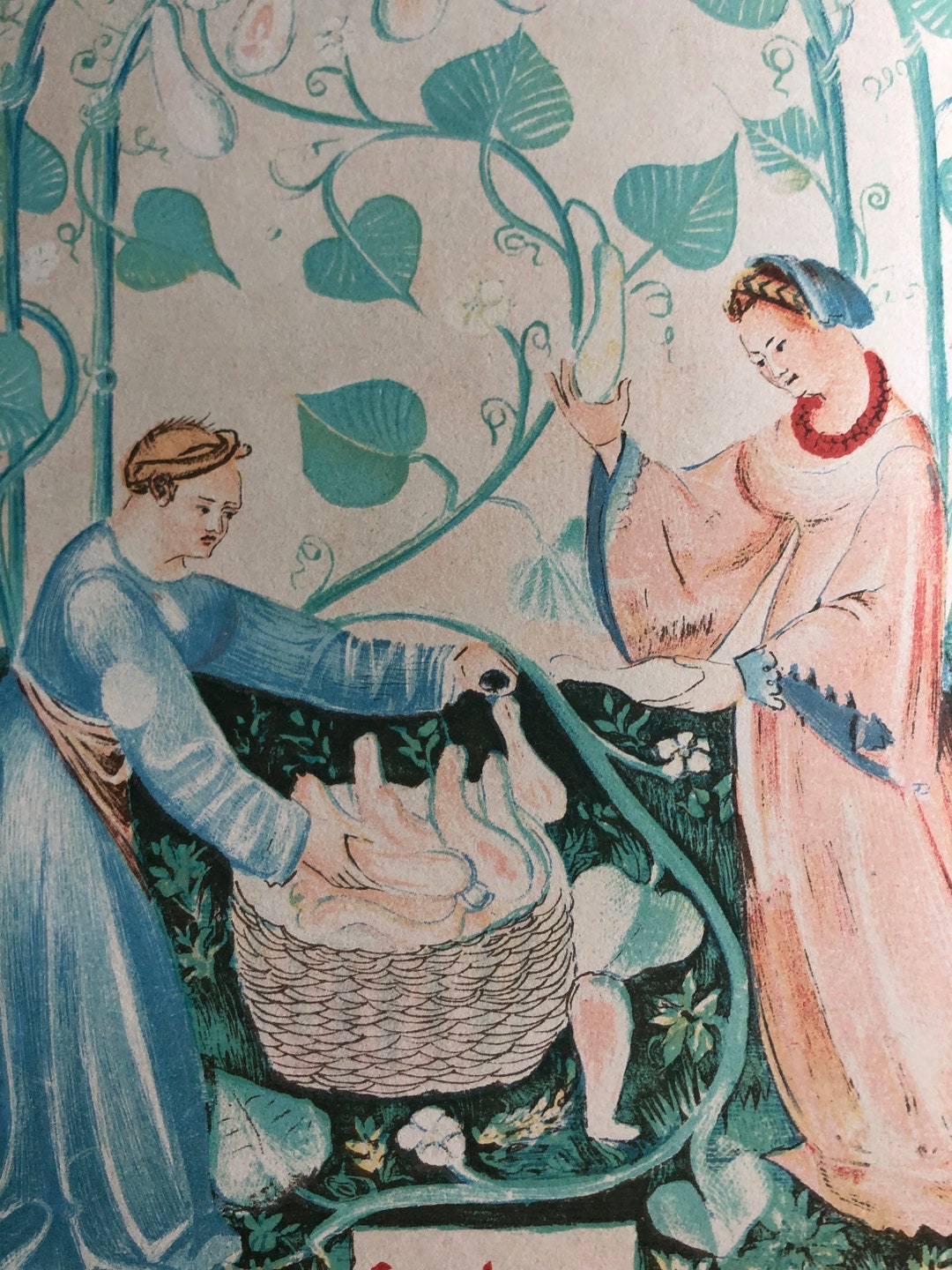 Eating Well Gourd Harvest Medieval Style From Tacuinum Sanitatis ...