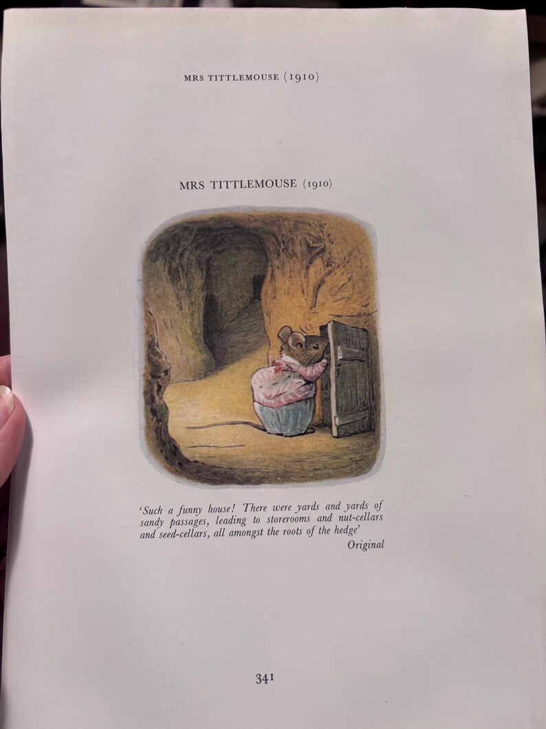 Beatrix Potter, Mrs Tittlemouse House | Original Published Illustration ...