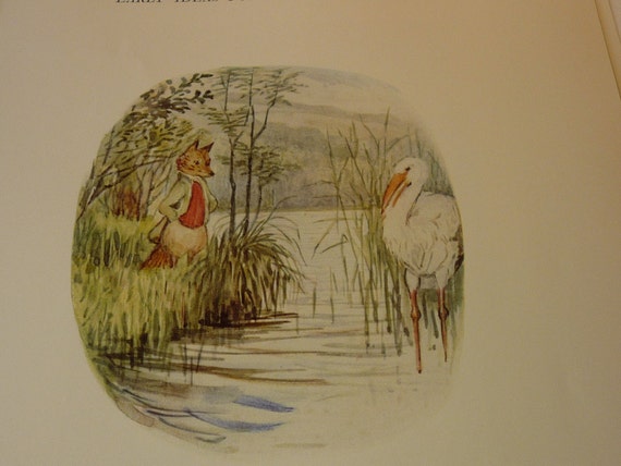 Zorro Beatrix Potter Animales Diego De La Vega | Zorro (2024 TV