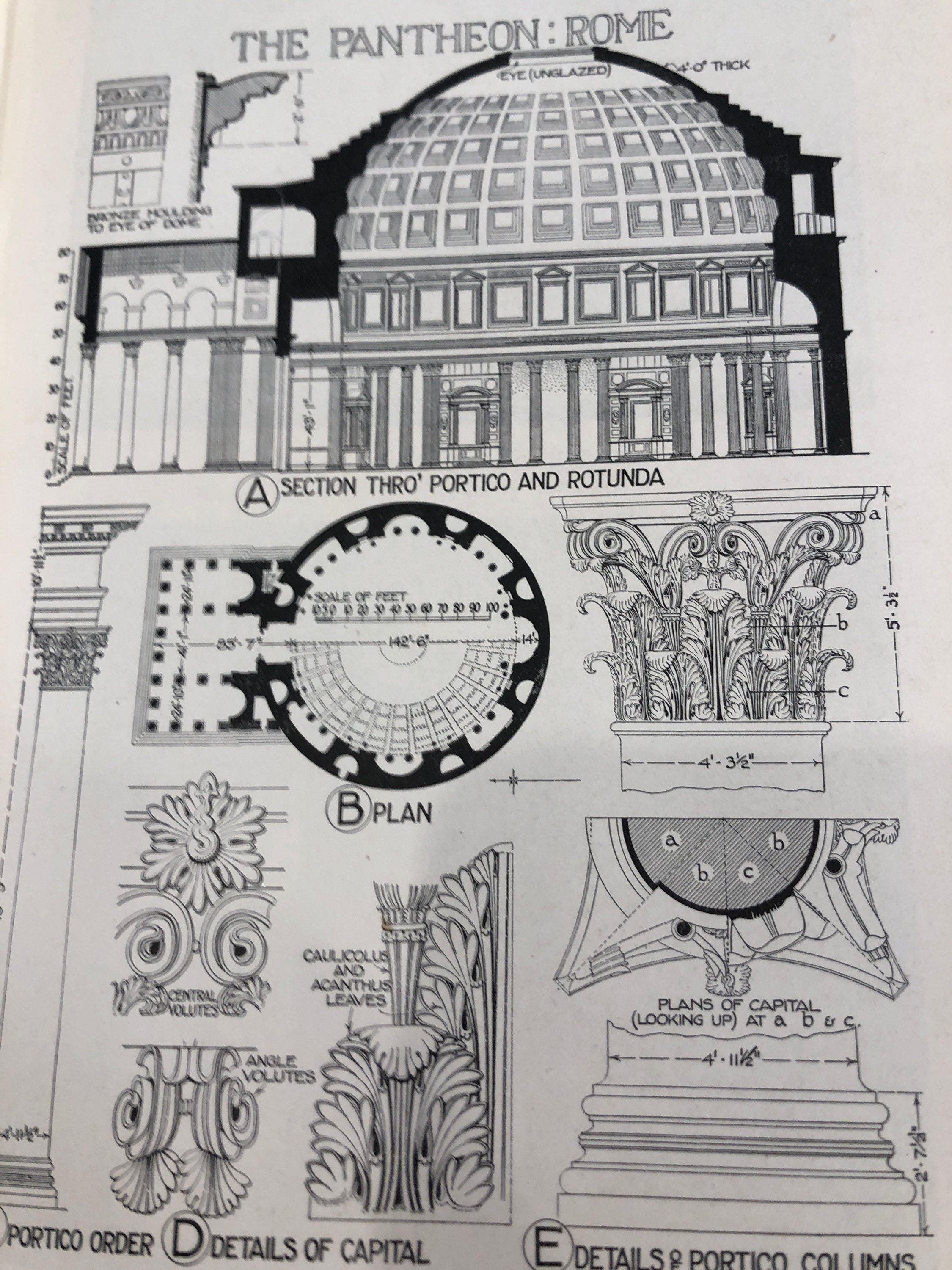 Pantheon Rome Section