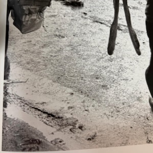 Paris, Baguette Bearer, Marc Riboud, 1953 | Black and White | Vintage ...