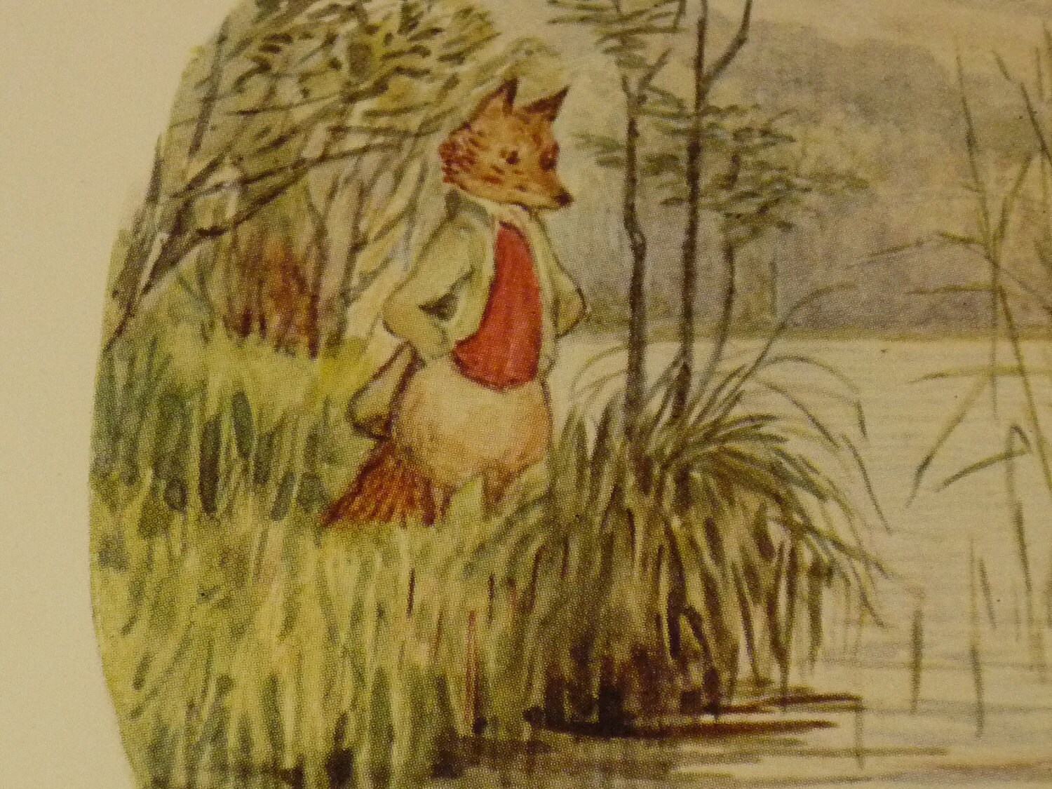 The Fox and the Stork Beatrix Potter Published Illustration Sweet ...