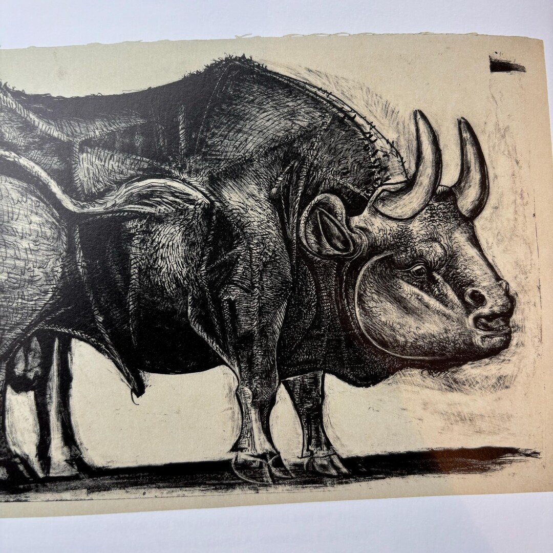 Picasso Bull, State IV | Original Published Lithograph | From a Series ...