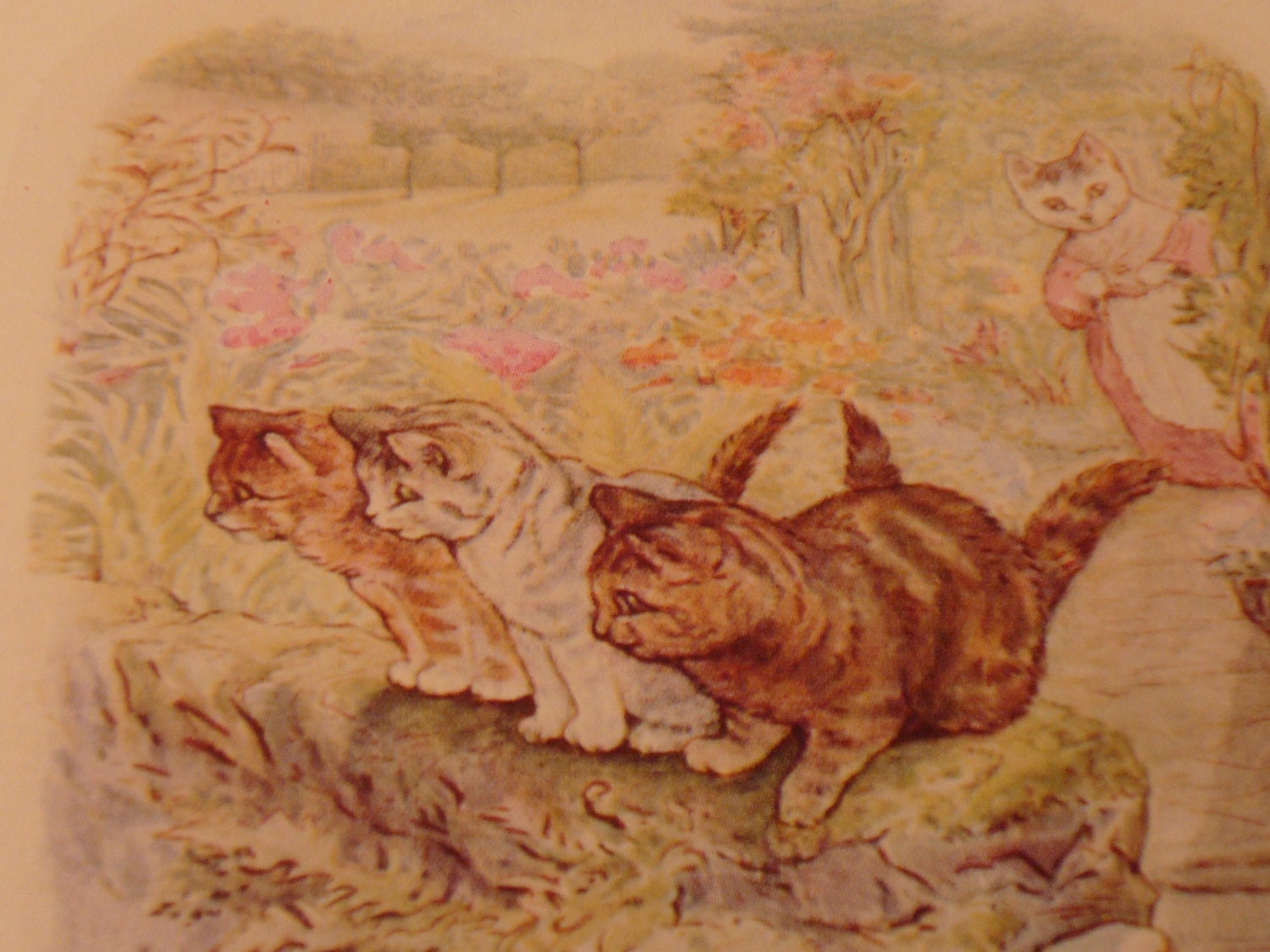 Beatrix Potter Illustration - Tabitha Twitchit and Her Cats - Animal ...