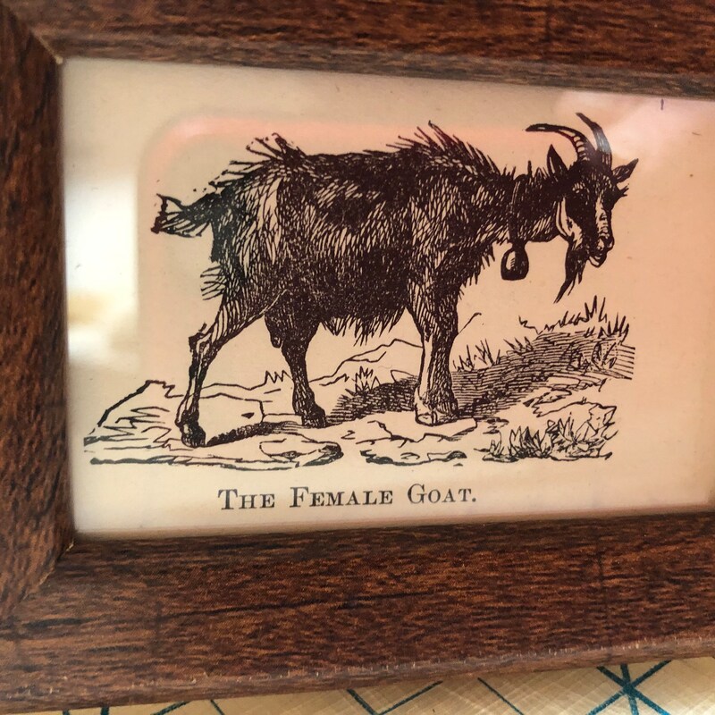 Antique Goat - Etsy