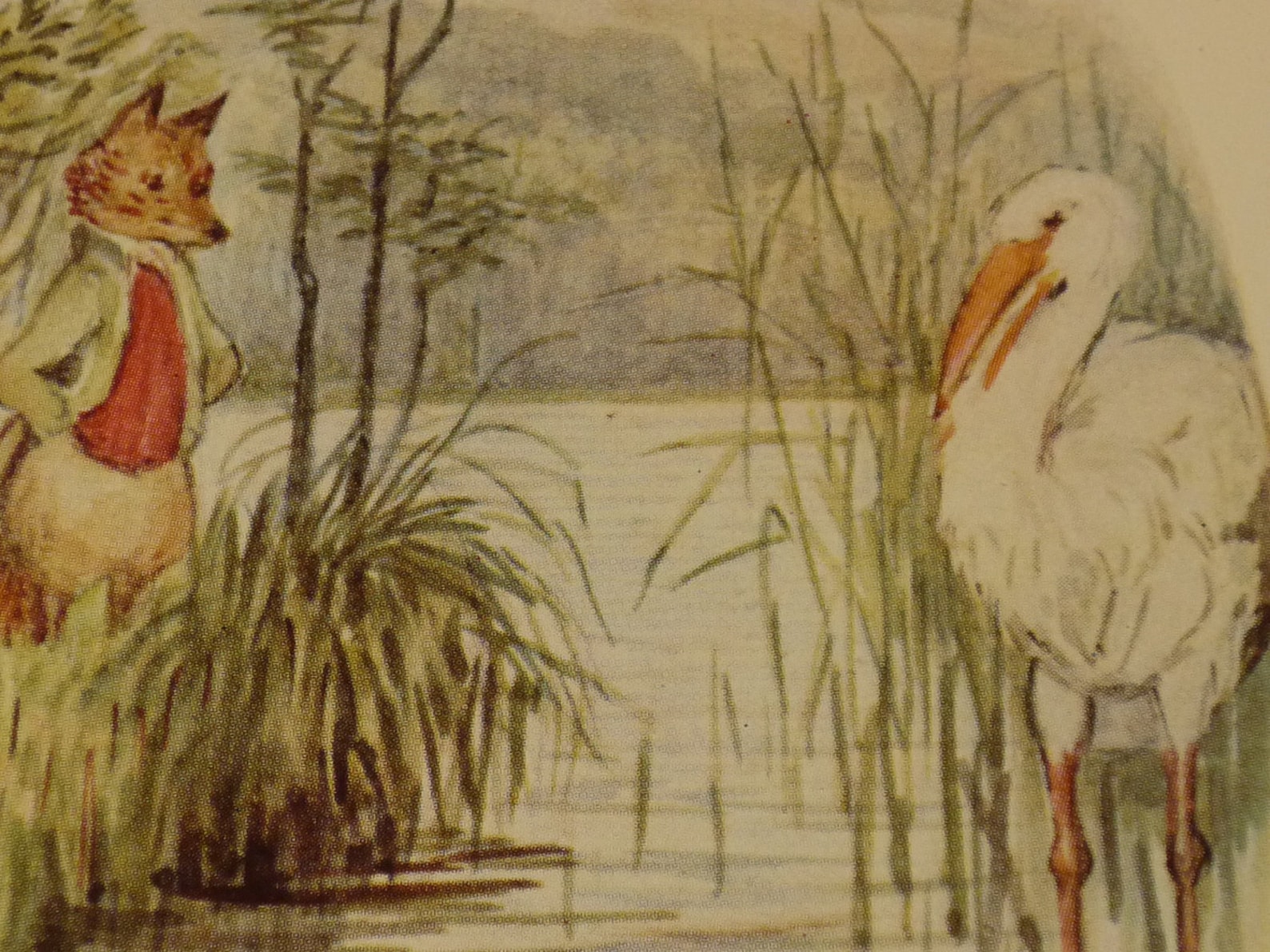 The Fox and the Stork Beatrix Potter Published Illustration Sweet ...