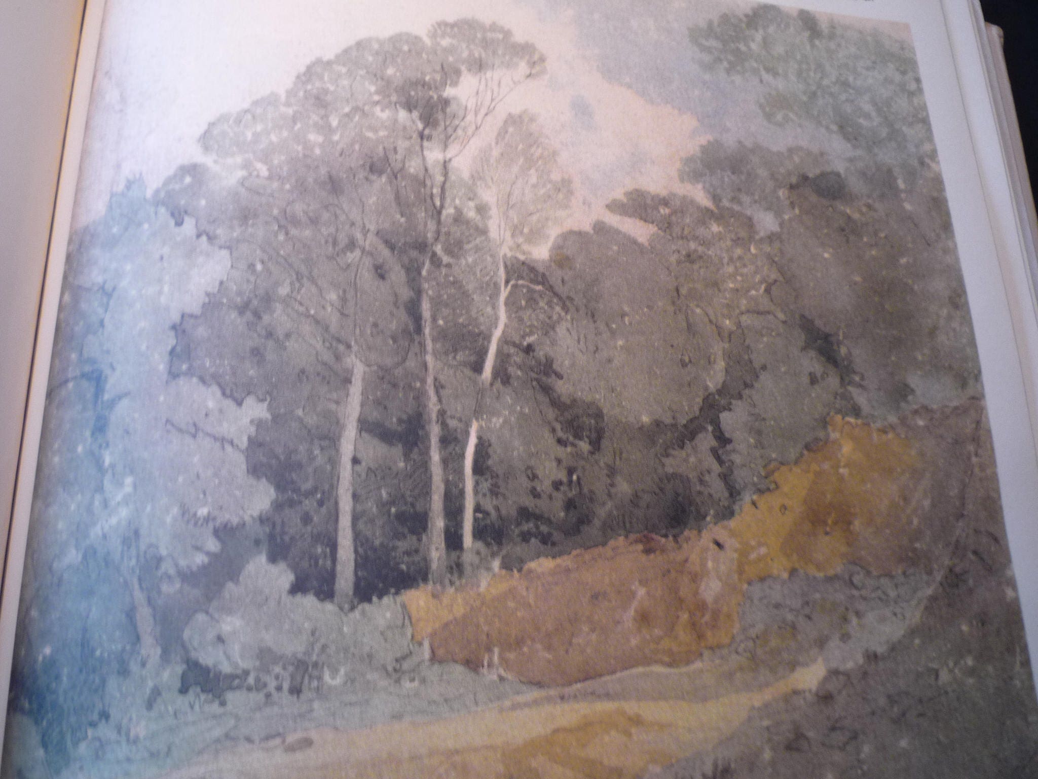 J S Cotman In the Woods Duncombe Park English water color | Etsy