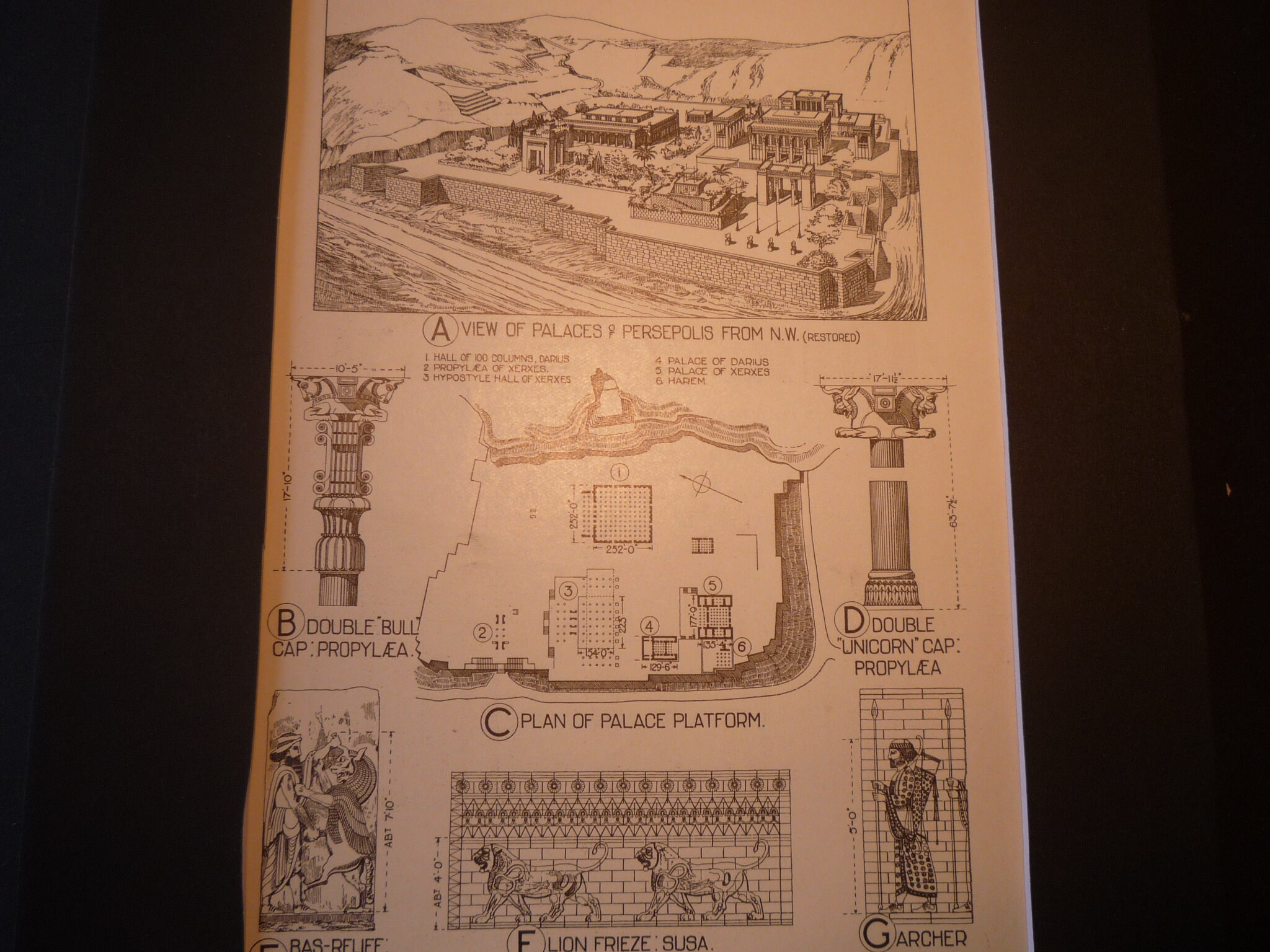Palace Of Persepolis Plan