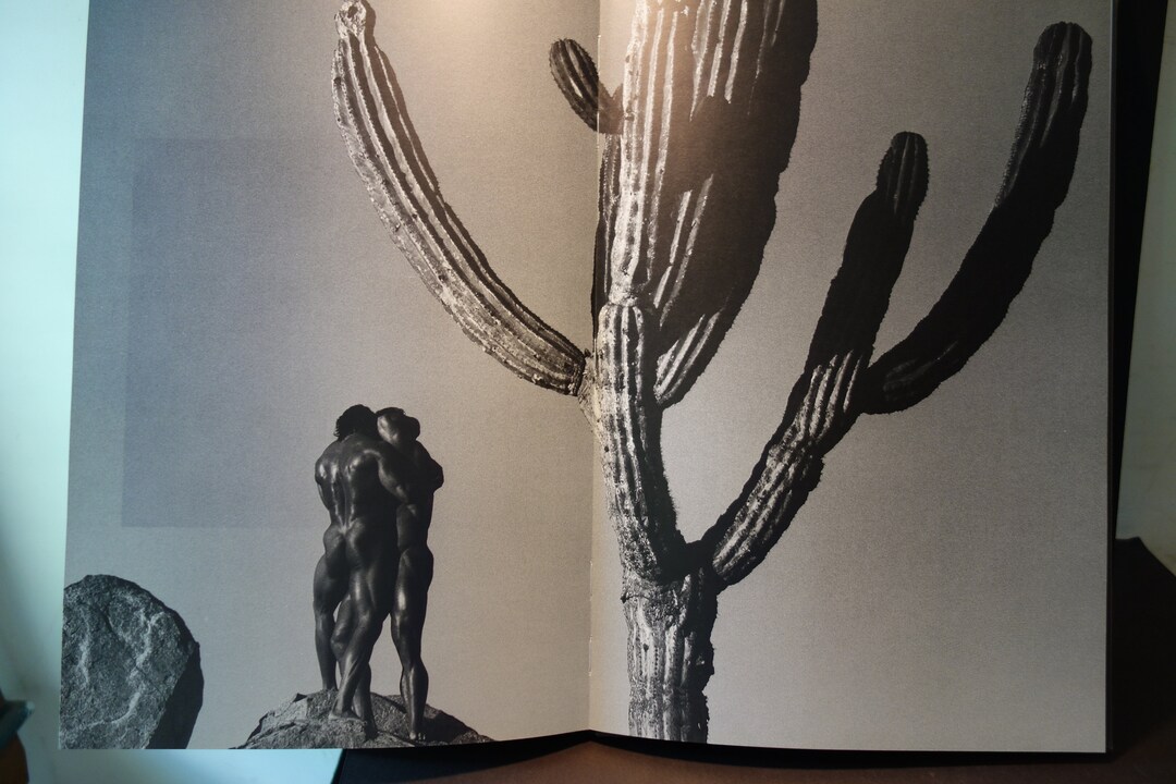 Herb Ritts Male Forms in the Desert 20th Century Photography Large ...