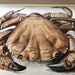 Albrecht Durer Sea Crab | Published Lithograph Print of 14th-century ...