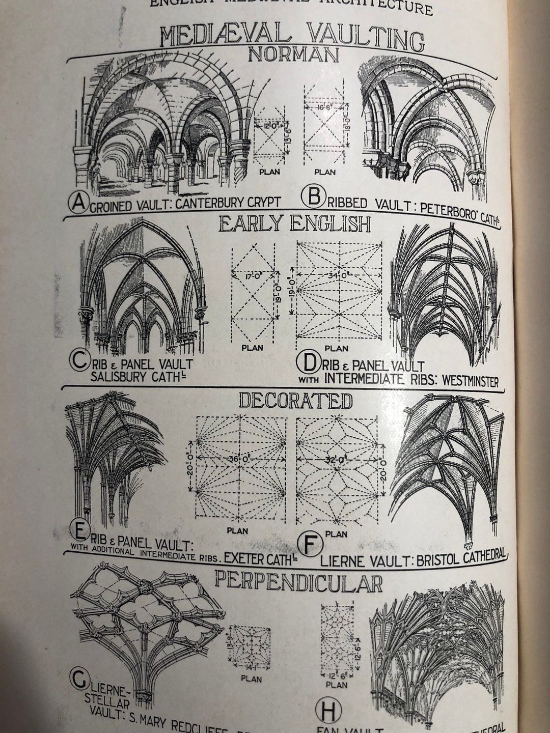 English Medieval Vaulting | Interior Architecture | Gift for Architect ...