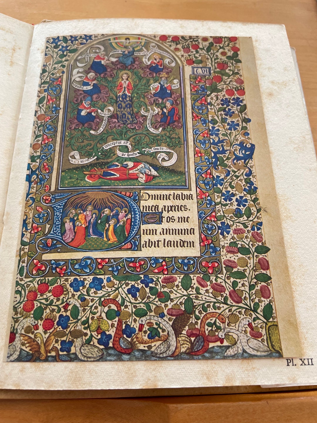 Conception of the Virgin Works of Holy Spirit | Illuminated Manuscript ...
