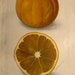 1905 Orange Hybrid. Morton Citrange US Department of Agriculture Fruit ...