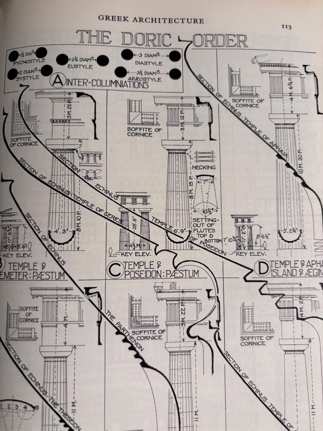 Doric Order Details Comparison of Famous Buildings 1924 Original ...