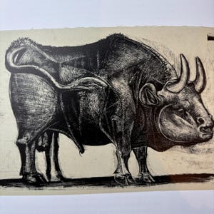 Picasso Bull, State IV | Original Published Lithograph | From a Series ...