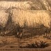 1851 Sheep New York Agriculture Prize Winners Original Steel Engraving ...