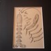 Anatomy of a Lobster Skeleton - 1888 Etching - Detailed Print - Matted ...