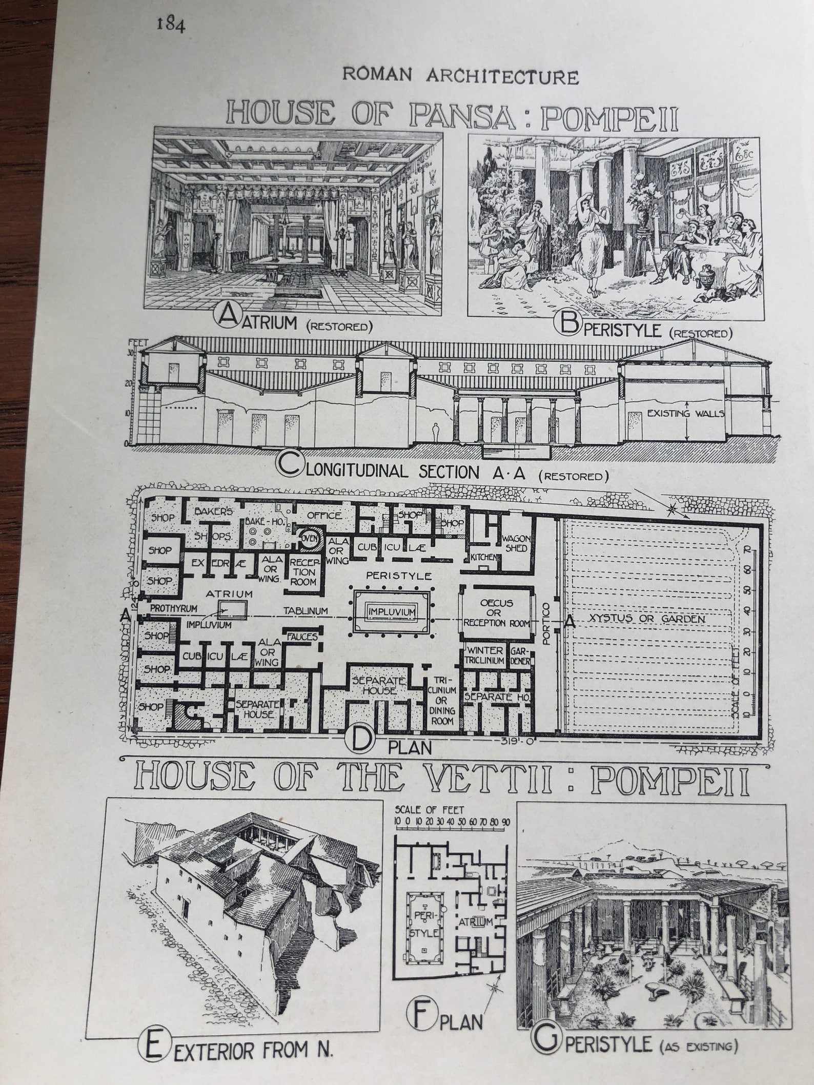 Pompeii Roman Architecture Ancient House Plans Vintage Print - Etsy