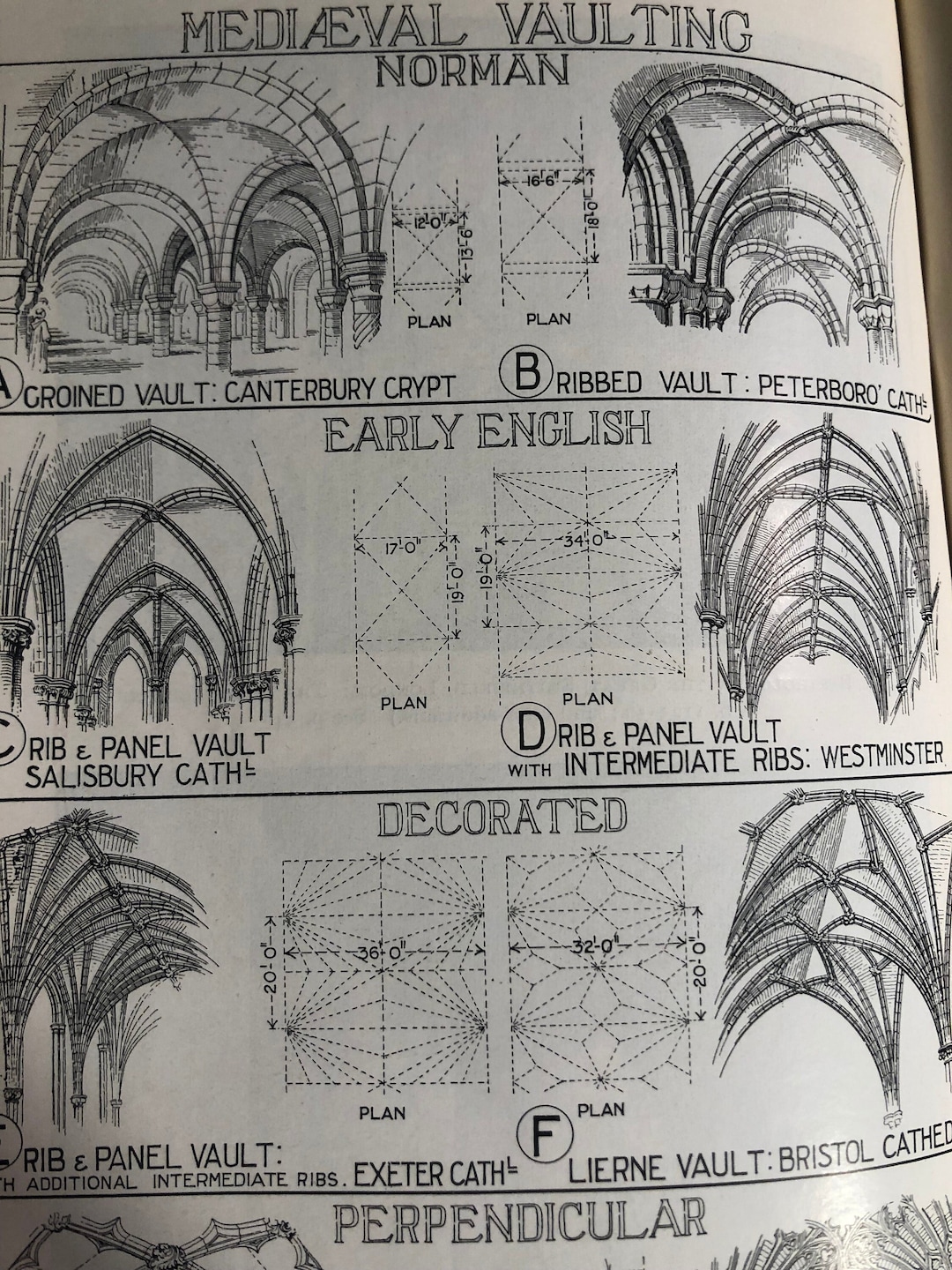 Medieval Vaulting | Architecture History | Comparative Study | Gift for ...