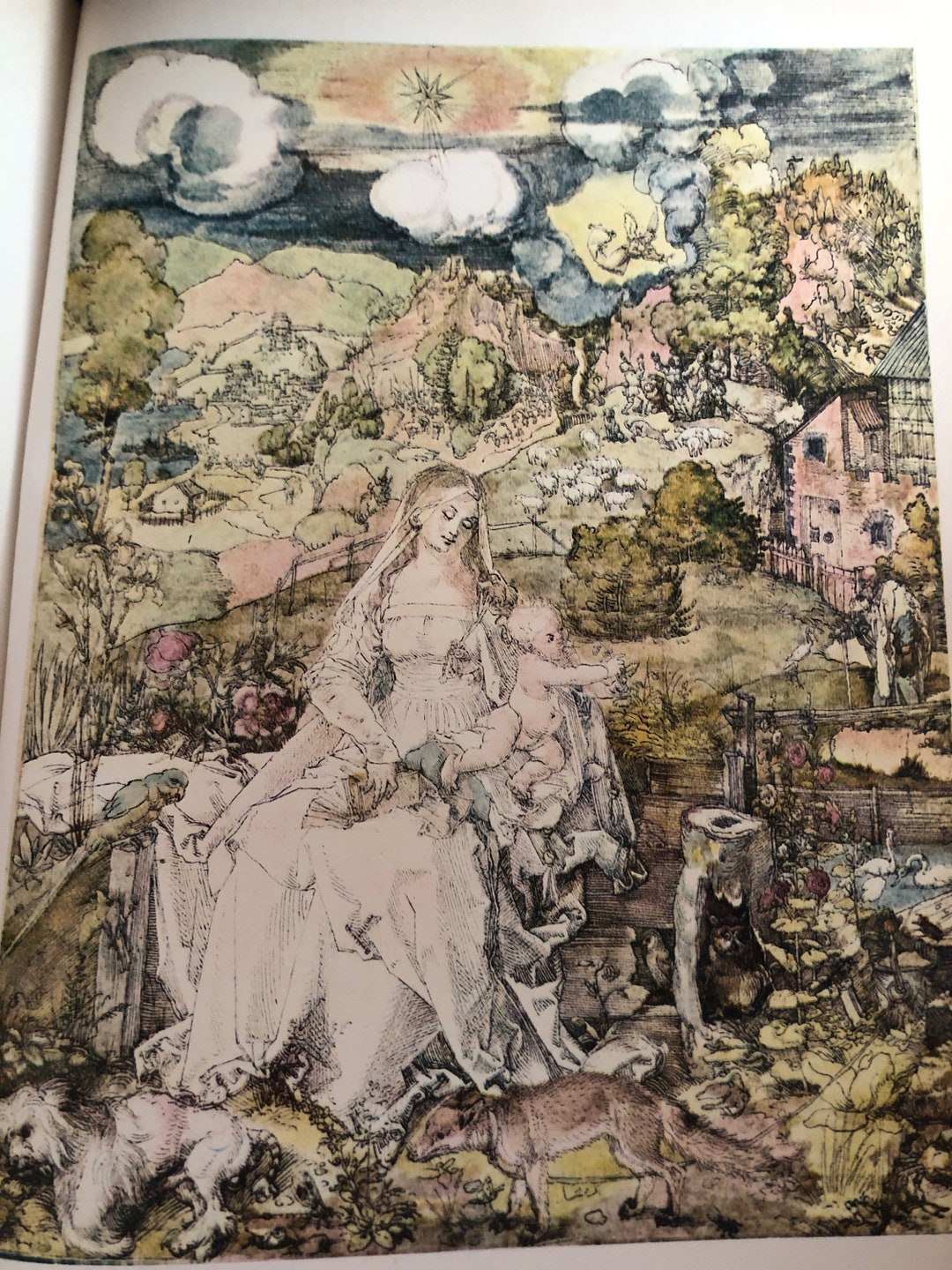 Durer Madonna With Animals | Fine Art Published Lithograph Print 16th ...