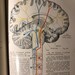 Central Nervous System Brain Cross Section - 1954 Human Anatomy ...