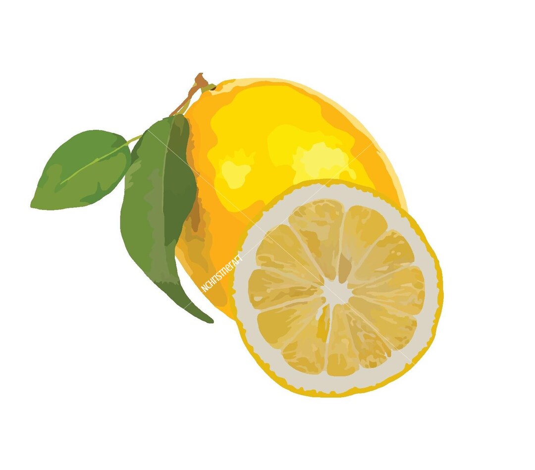 Digital Lemon Print- Hand Drawn - Etsy