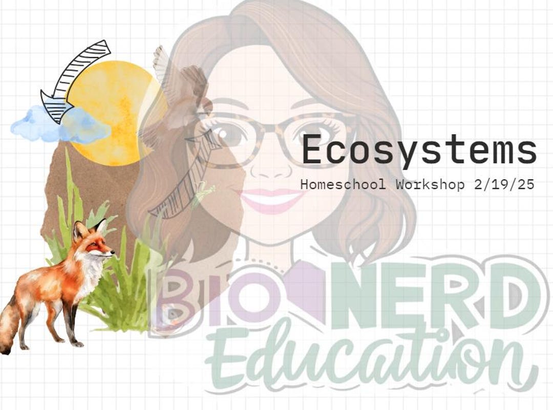 Ecosystem Interdependence Presentation - Etsy