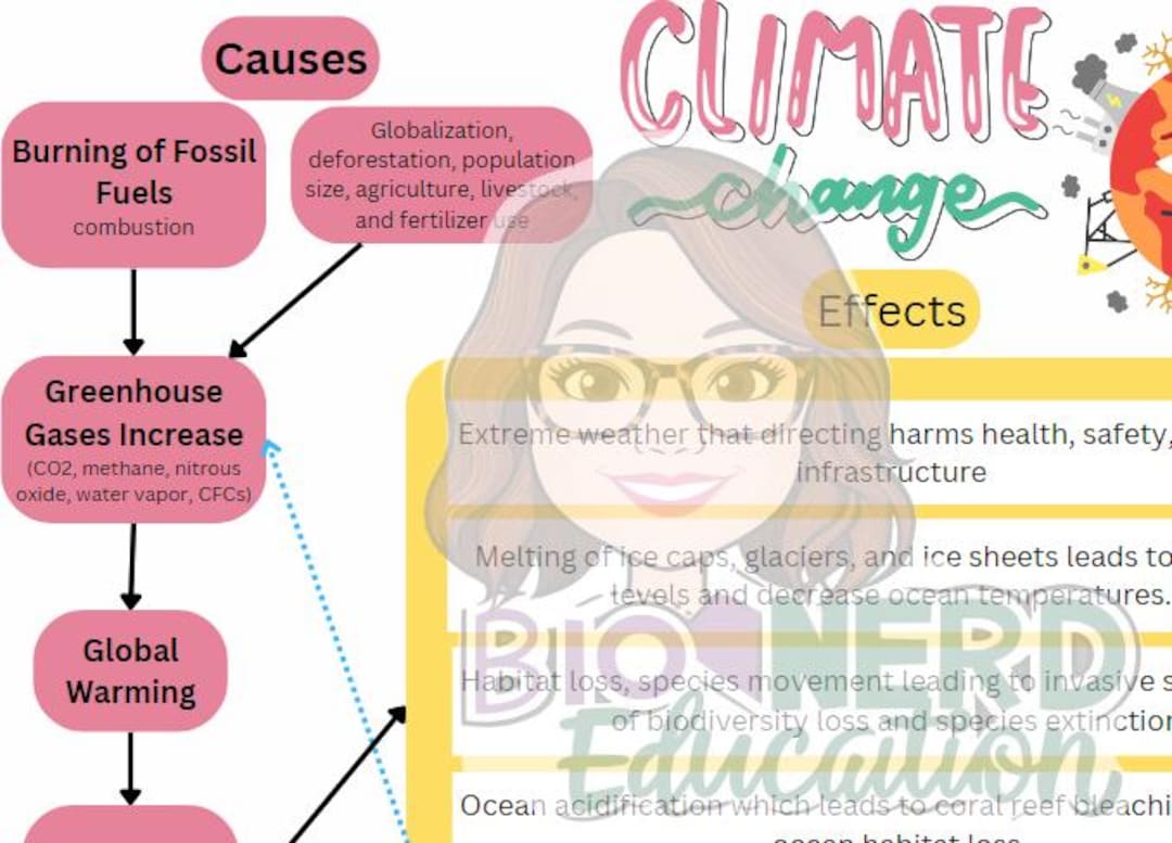 Biology Infographics, Climate Change - Etsy