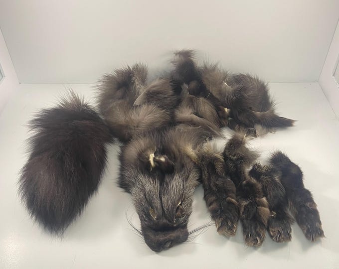 Alaskan Silver Fox Fur Scrap - Etsy