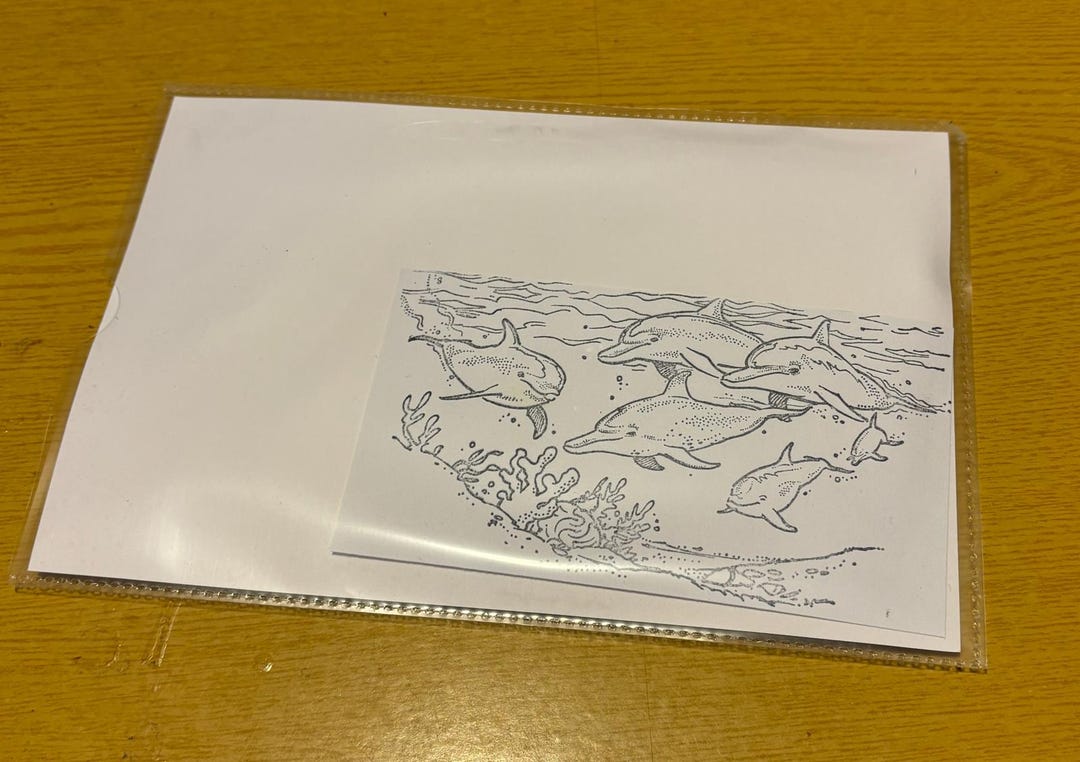 Dolphin Scene Underwater Stamp Set Card Making Scrapbooking - Etsy