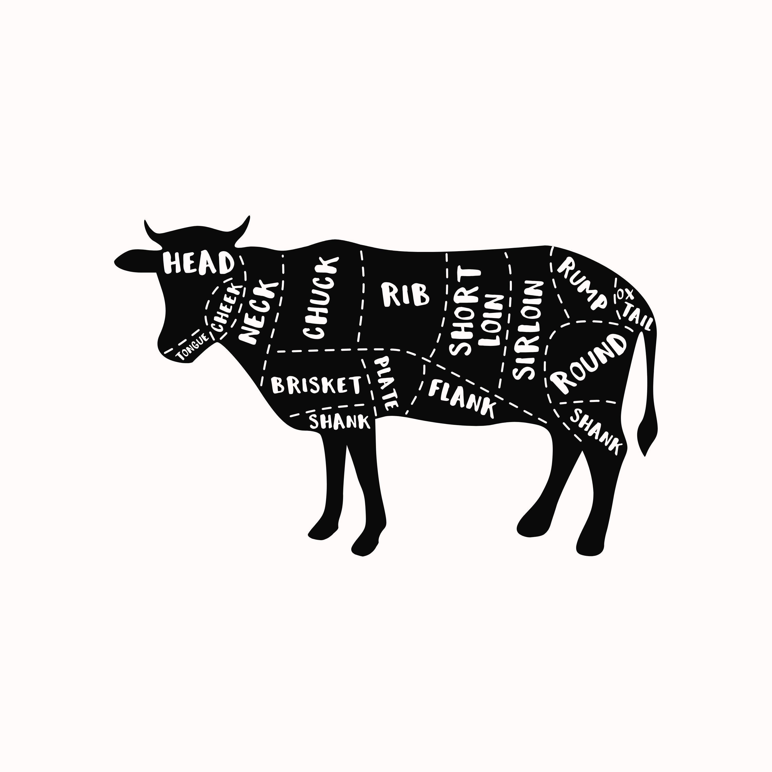 25 Butcher Pack SVG Bundle, Butcher's Beef Cuts, Meat Svg, Digital File ...