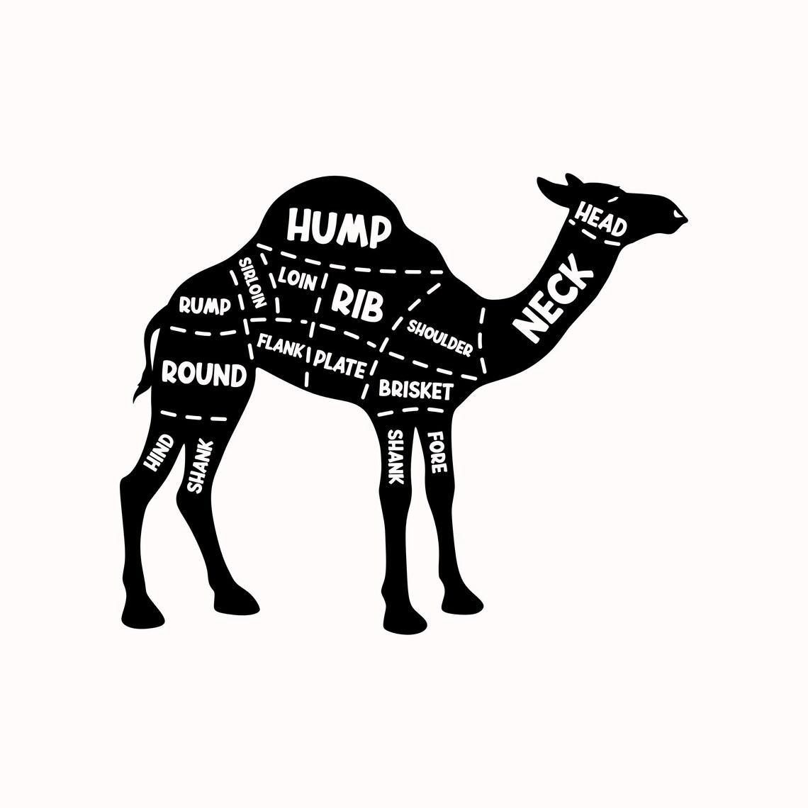 25 Butcher Pack SVG Bundle, Butcher's Beef Cuts, Meat Svg, Digital File ...