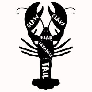 25 Butcher Pack SVG Bundle, Butcher's Beef Cuts, Meat Svg, Digital File ...