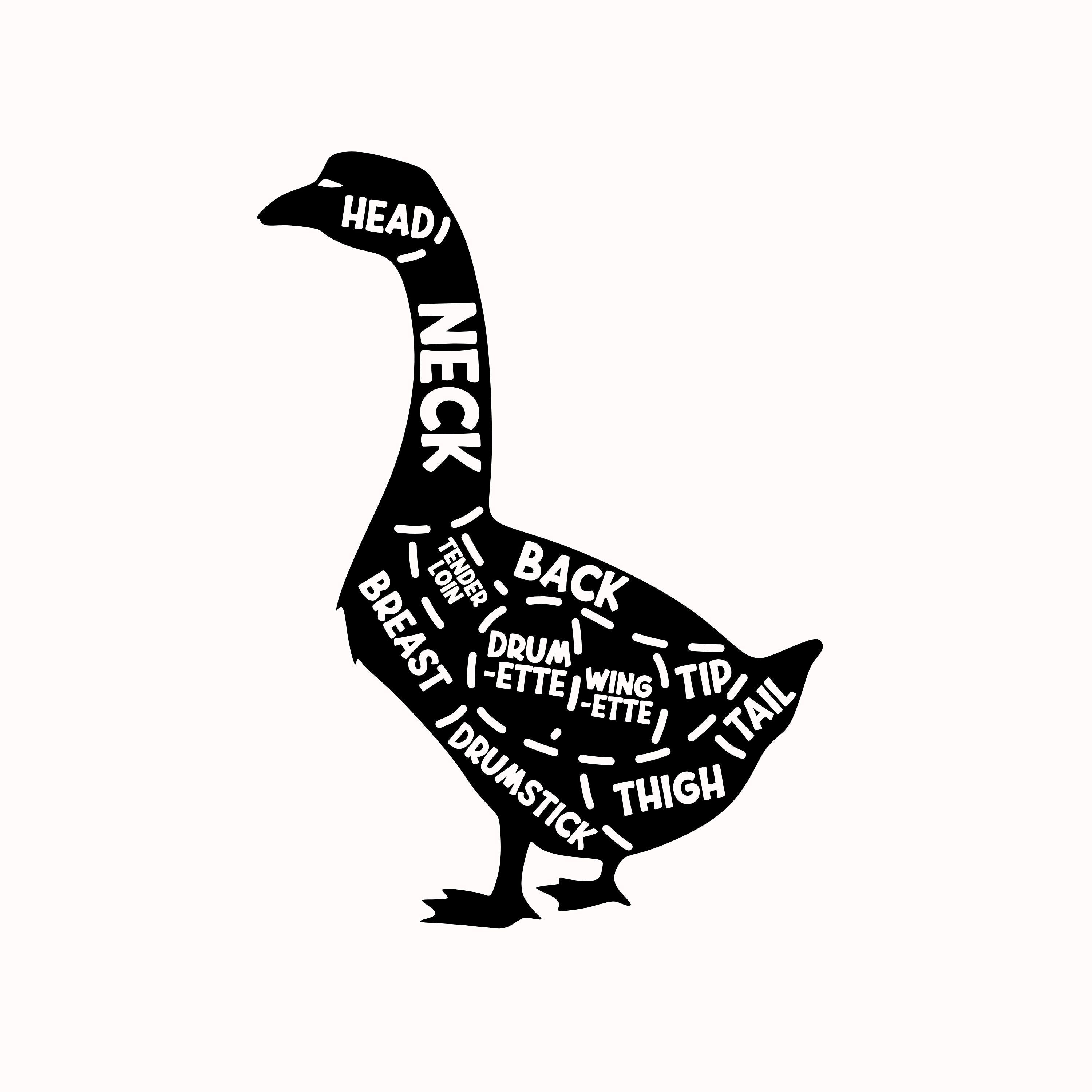 25 Butcher Pack SVG Bundle, Butcher's Beef Cuts, Meat Svg, Digital File ...