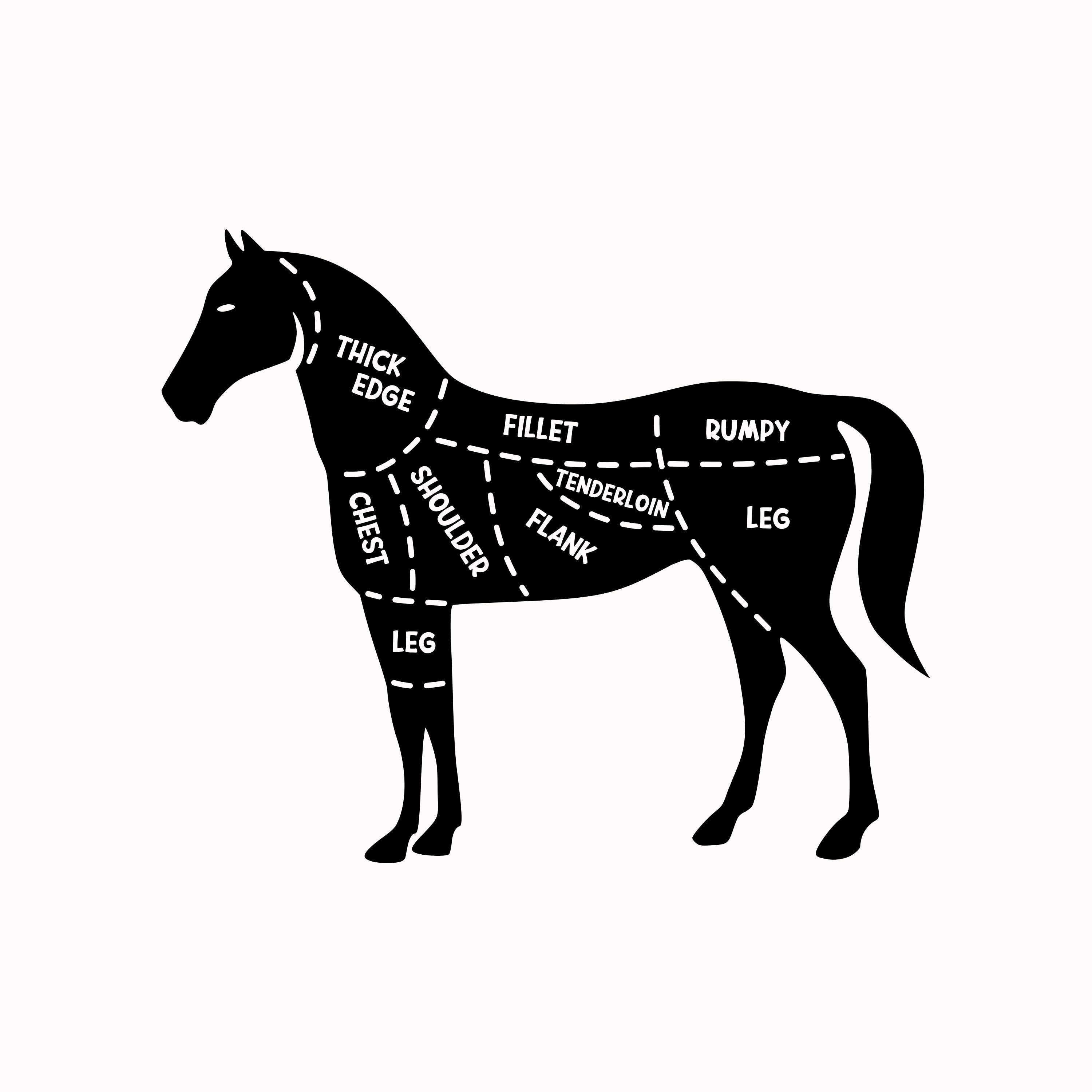 25 Butcher Pack SVG Bundle, Butcher's Beef Cuts, Meat Svg, Digital File ...