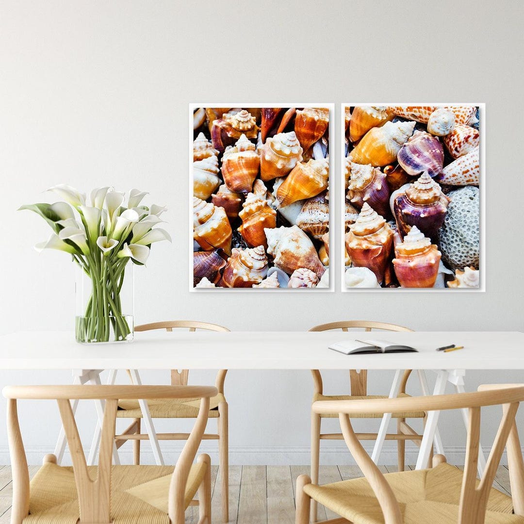 Set of 2 Seashells Coastal Art Prints or Canvases, Beach Wall Art Home ...