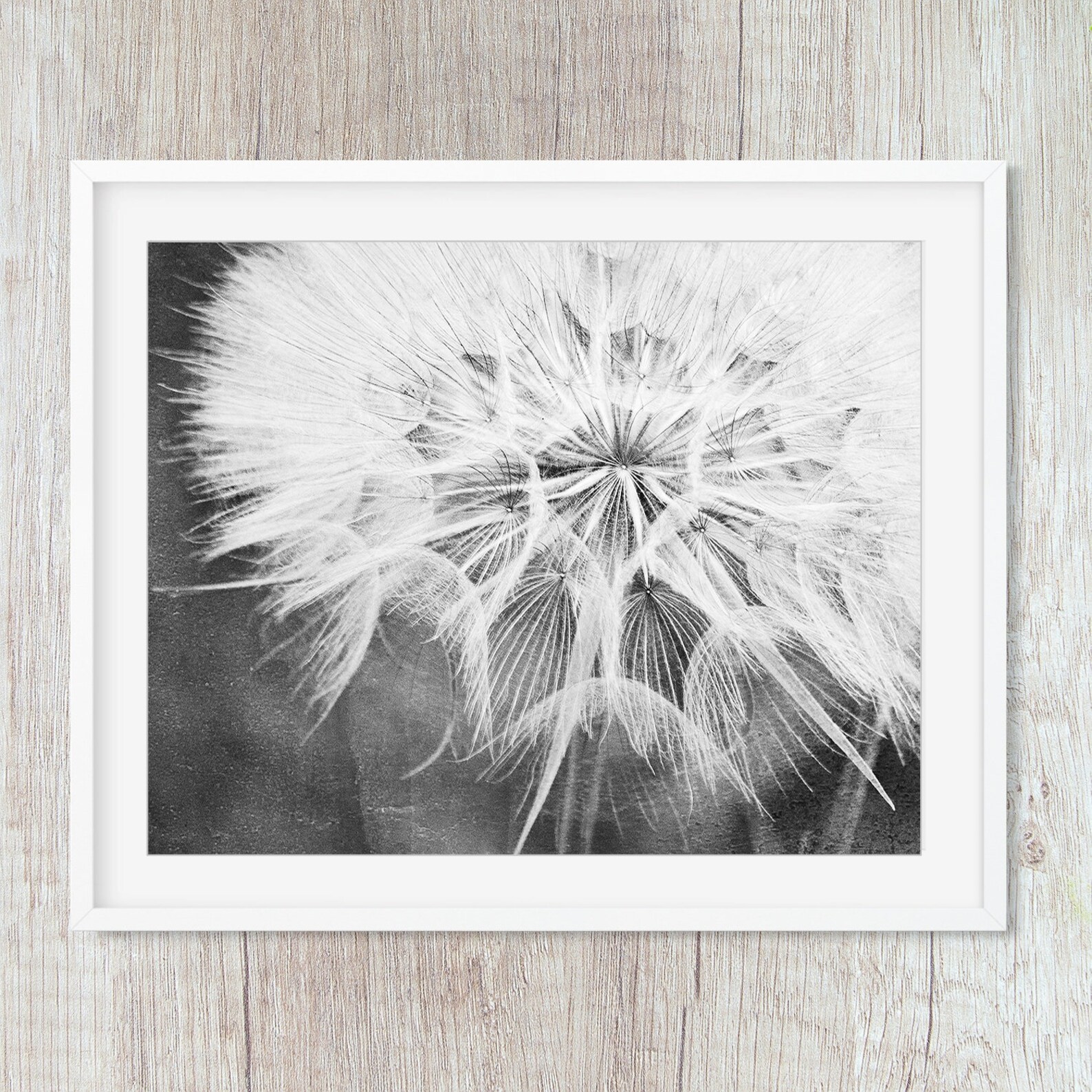 Dandelion Botanical Wall Art Home Decor Canvas Art Prints - Etsy