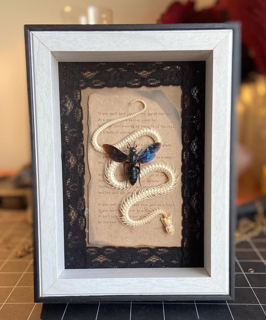 Rare Wasp on Snake Skeleton - Etsy
