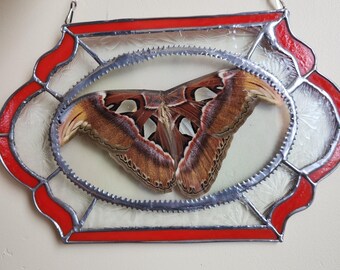 Stained Glass Atlas Moth - Etsy