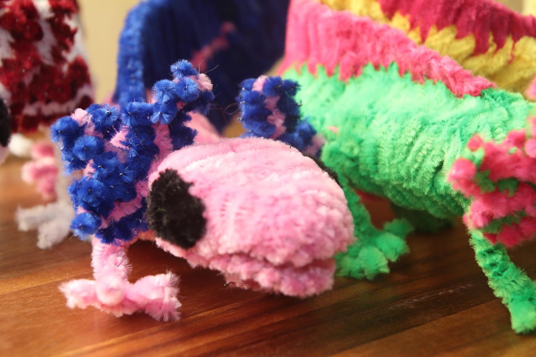 Pipe Cleaner Axolotl - Etsy