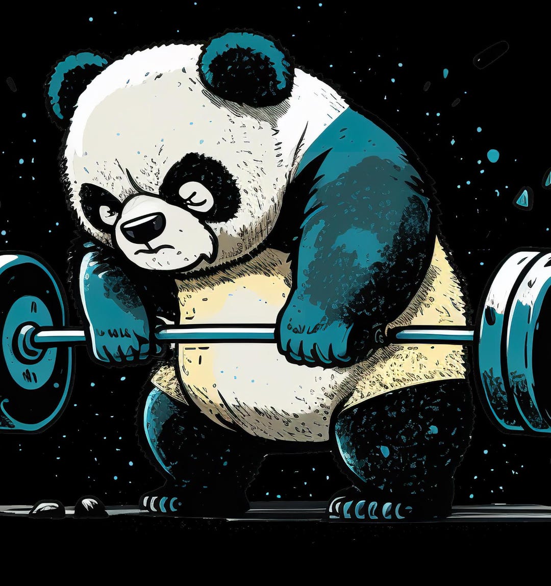 Panda Gym Exercising Digital Designs to Sublimate With Energy and Style ...