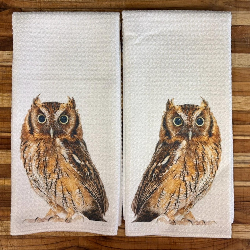 Owl Dish - Etsy