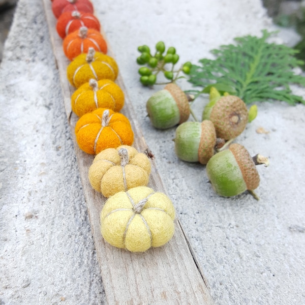 Wool Pumpkin - Etsy