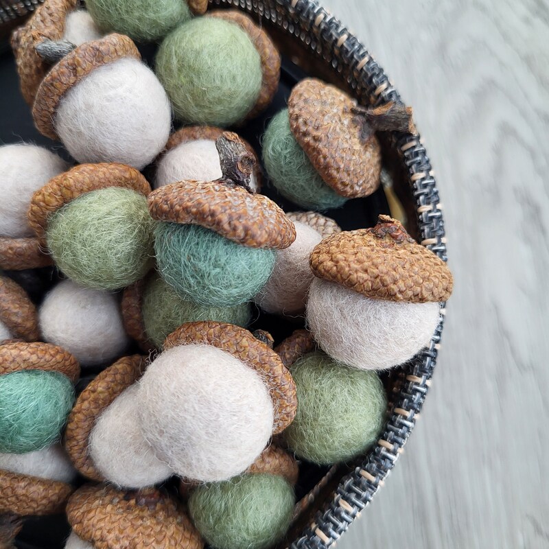 Miniature Acorns - Etsy