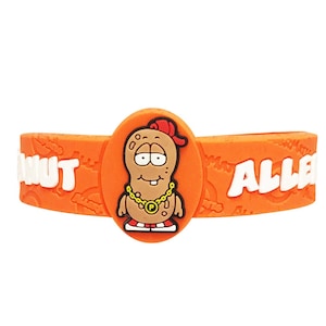 Kids Allergy Alert Bracelet – Medical ID Wristband for Dairy, Shellfish ...