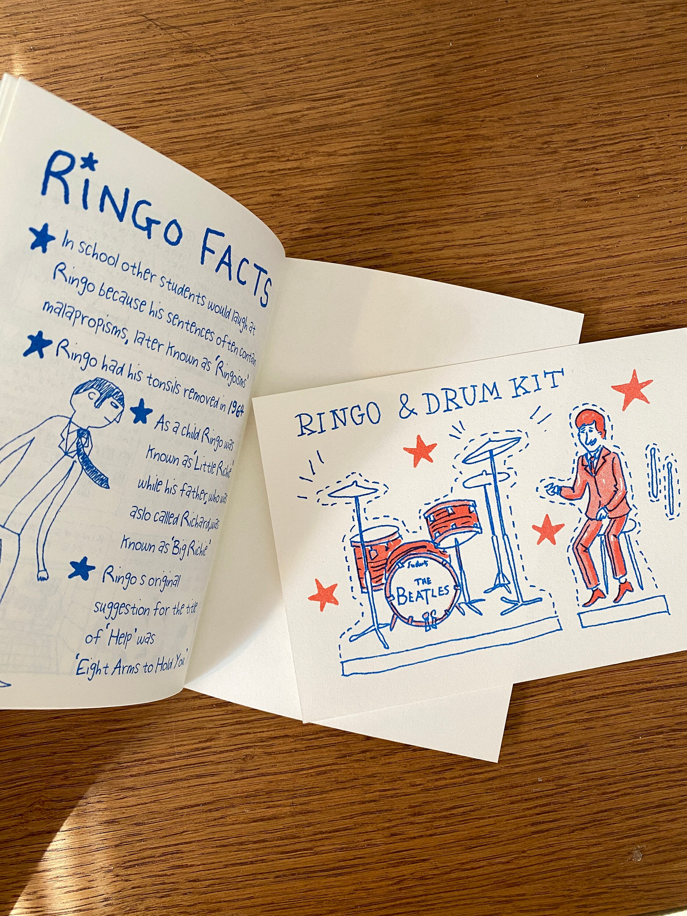 Beatles Unofficial Fan Zine Collection by Lizz Lunney Wilm Lindenblatt ...